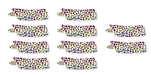 Bright Leopard – Nasogastric Patch – A Simple Patch